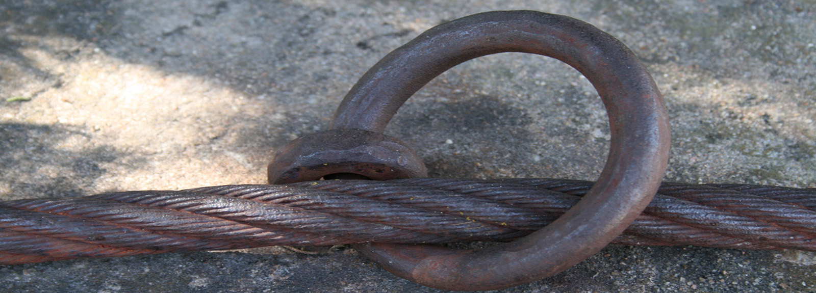 Secure base leadership. Caring & daring | Streng.nl